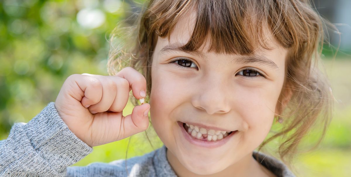Regrowing teeth naturally in humans, is it possible? 🦷